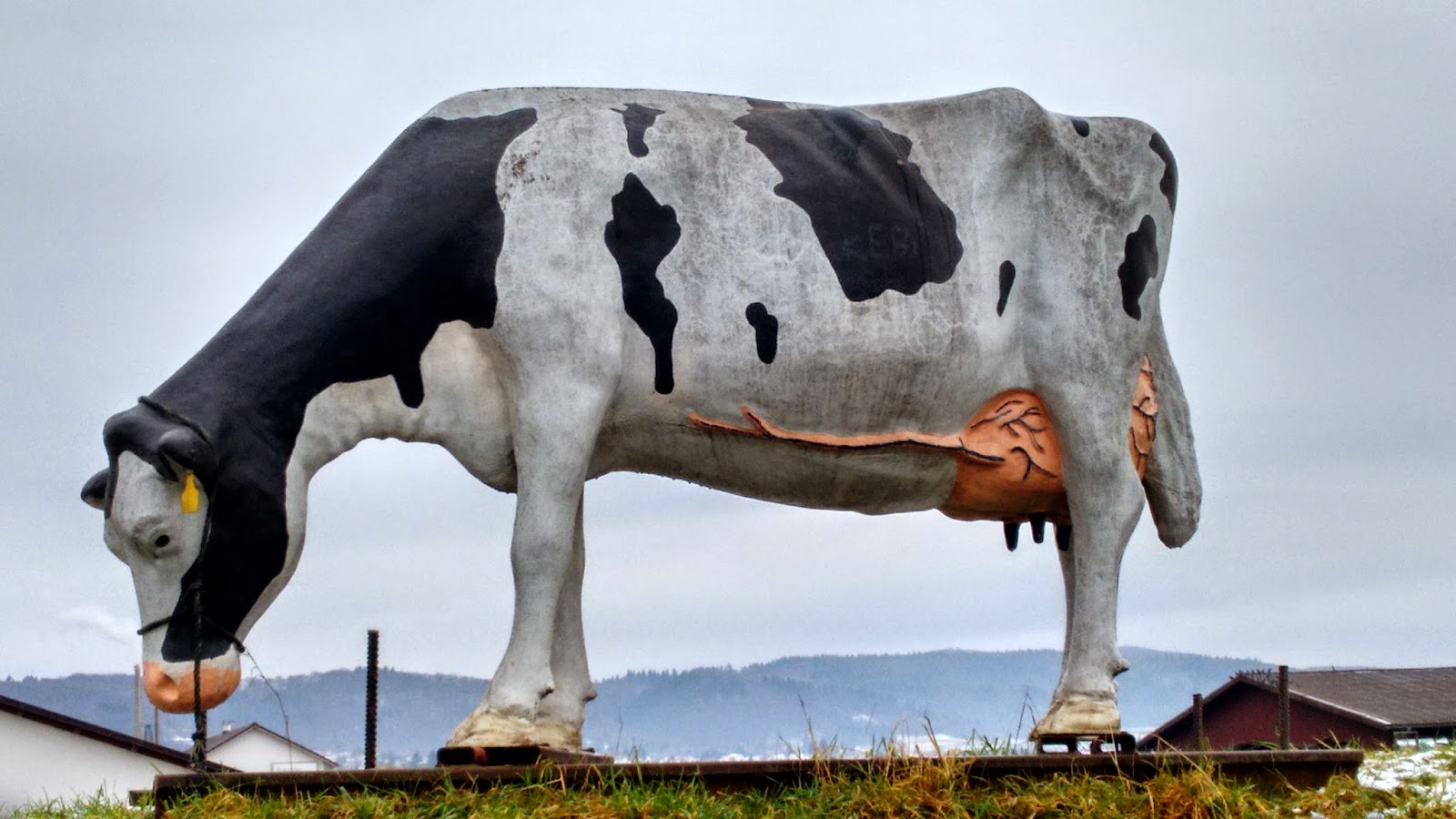 Around the Wherever: The Creepy Cows of Weinheim